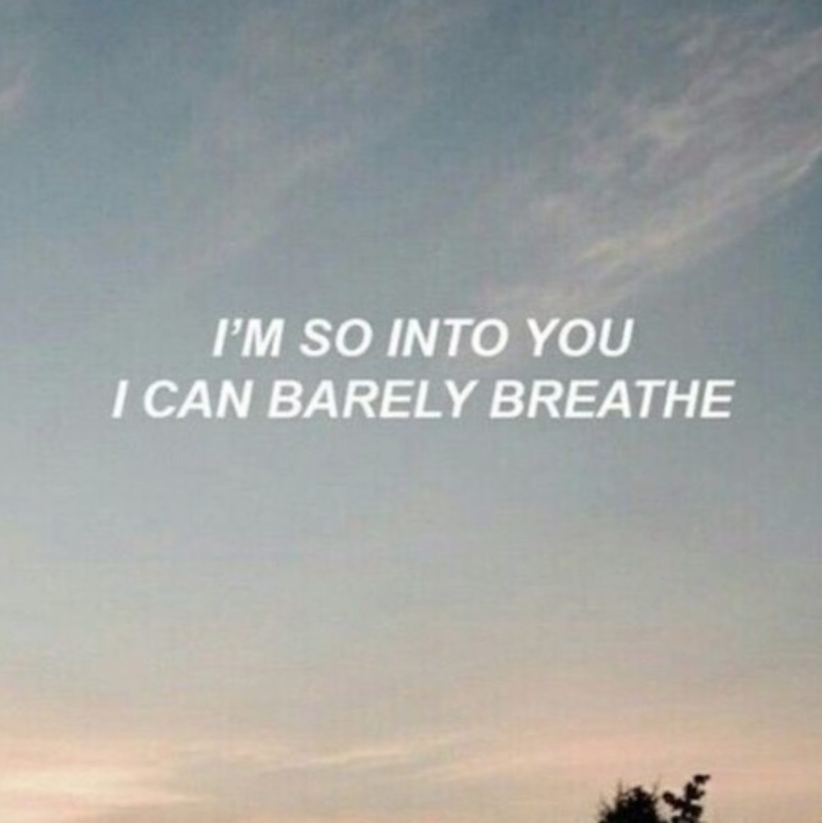 I'm So Into You... - Life-Quotes.Pictures